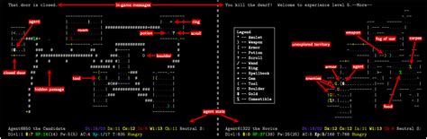 Decades Old Ascii Adventure Nethack May Hint At The Future Of Ai