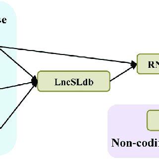Cross Referencing Of Databases Download Scientific Diagram