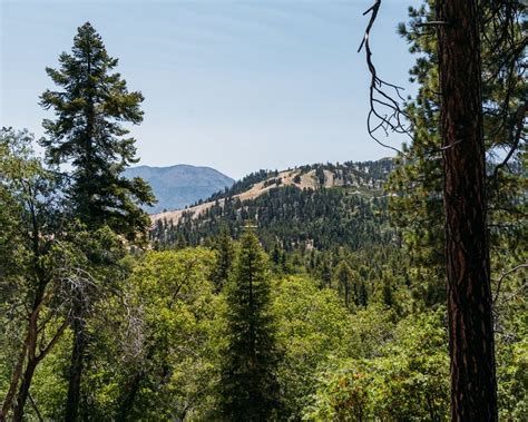 8 Best Things To Do In Running Springs California