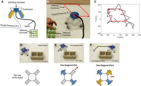 Tethered Control Of The Quadruped Robot A Schematic Of The Robot Download Scientific