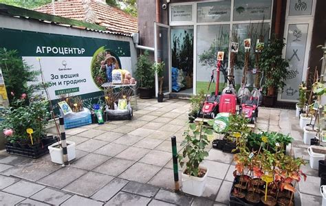 Ентан Разширените вени заболяване или козметичен дефект Терминът разширени вени или варикоза