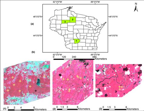 Remote Sensing Free Full Text Investigating The Utility Of Wavelet