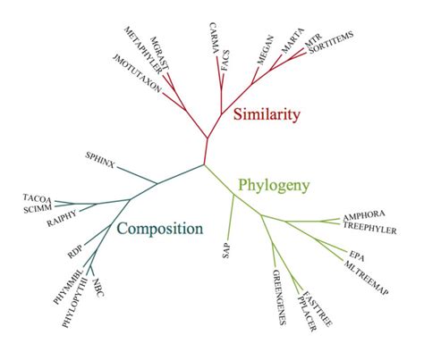program clustering a neighbor joining tree that clusters the