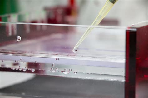 Agarose 젤 전기 이동 법은 젤 전기 이동 법에서 생화학 분자 생물학 유전학 그리고 임상 화학 실험실에서 사용 되는 방법입니다 Dna에 대한 스톡 사진 및 기타 이미지