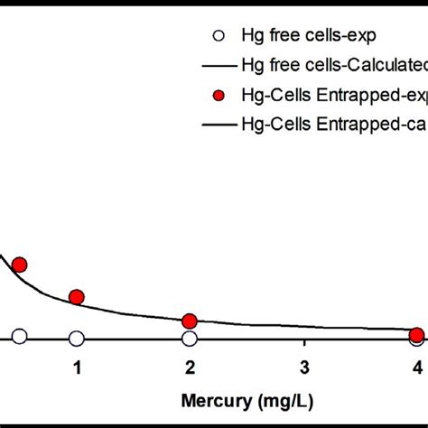 Modelling The Effect Of Increasing Concentration Of Mercury To