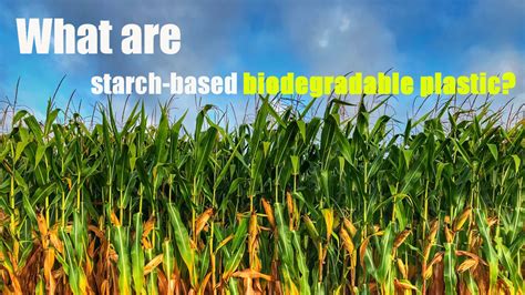 What Are Starch Based Biodegradable Plastics