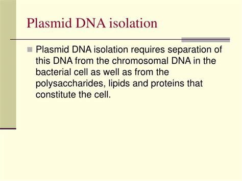 ppt plasmid dna isolation powerpoint presentation id 477427
