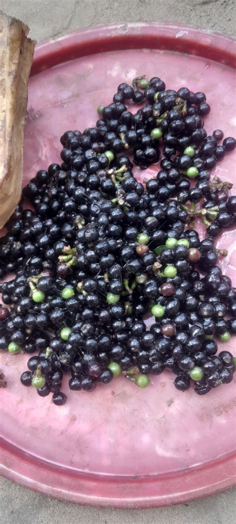 Abraham Guyo On Linkedin Here Is A Unique Fruits Characteristics From