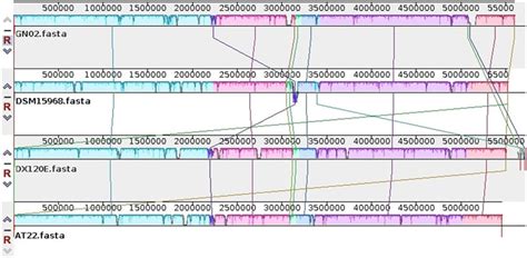 Synteny Block Of K Variicola Genomes The Same Color Module Represents