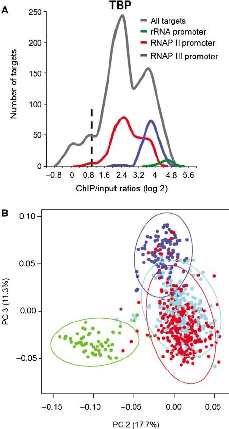 Analysis Of Chip On Chip Data For Different Classes Of Promoters A Download Scientific Analysis Of Chip On Chip Data For Different Classes Of Promoters A Download Scientific