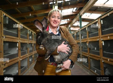 Moormerland Germany 01st Feb 2023 The Best Rabbit Breeder Of