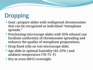 Cytogenetic Examination Of Leukemiapptx