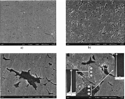 Fe Sem Image And Eds Spectrum For Copper Graphite A Copper Graphite Download Scientific