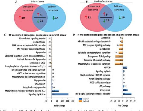 Figure 1 From Proteomic Analysis Of Transcription Factors Involved In