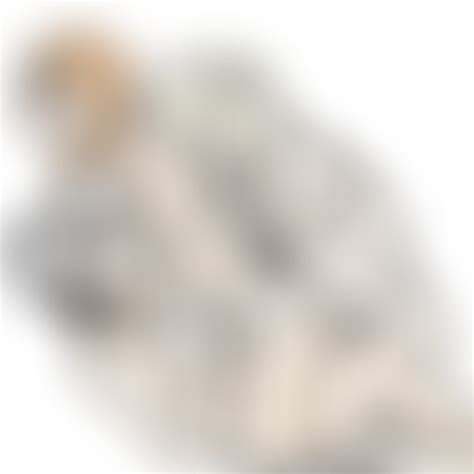 New Elsa And Old Elsa Cant Get Enough Of Her Elsanna