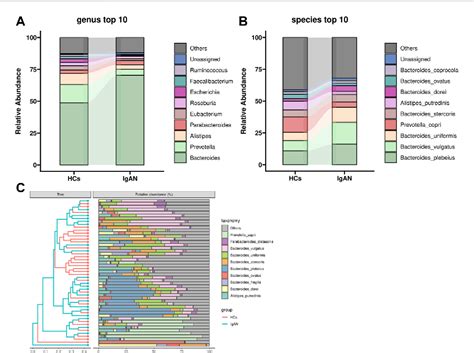 Table 1 From Metagenomics Based Systematic Analysis Reveals That Gut Microbiota Gd Iga1