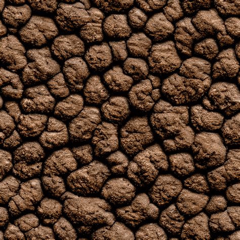 Realistic Nature Soil Texture · Creative Fabrica