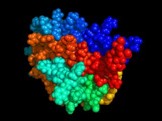 Laboratorio Clinico ERITROPOYETINA