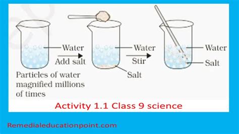 Ncert Activity 1 1 Class 9 Science With Conclusion Remedial Classes