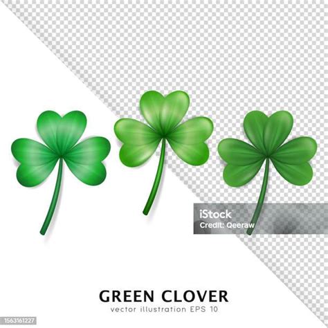 사실적인 녹색 클로버 투명한 배경에 격리된 다양한 스타일의 트레포일 0명에 대한 스톡 벡터 아트 및 기타 이미지 0명 3차원 형태 St Patricks Day