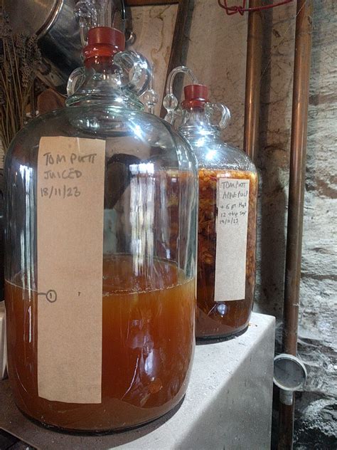 My First Apple Cider Fermentation Forum At Permies
