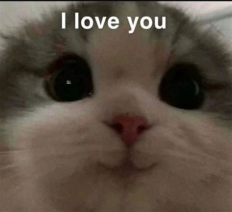 I Love You Too Meme
