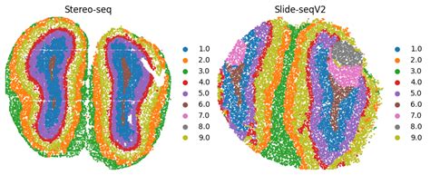 1 Spatial Feature Integration Of Mouse Olfactory Bulb Datasets — Stair Tutorial 10 Documentation