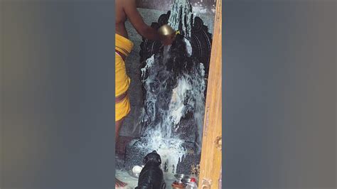 இனிய பிறந்தநாள் வாழ்த்துக்கள் பிள்ளையார் 🙏அப்பா Youtube