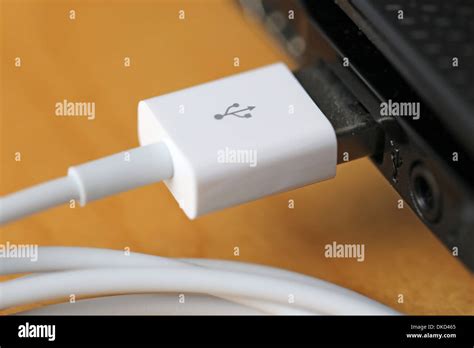 Usb Cable Connected To Computer Stock Photo Alamy