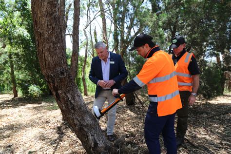 Canning To Tackle Pshb With Management Trial Your Local Examiner