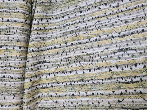 White Bark Tree Print Fabric Etsy