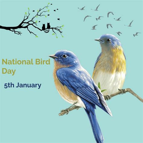 National Bird Day