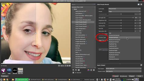 Gmic Split Preview Not Working In Gimp 21032 Flatpak Rgmic