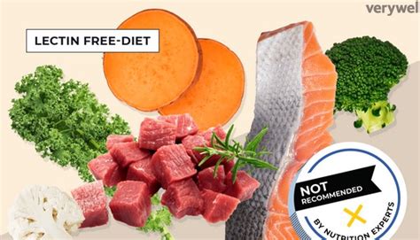 Lectins To Avoid Foods High In Lectins And Their Impact On Health