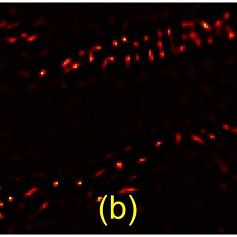 Comparison Of The Different Existing 2d Blind Sim Algorithms On A