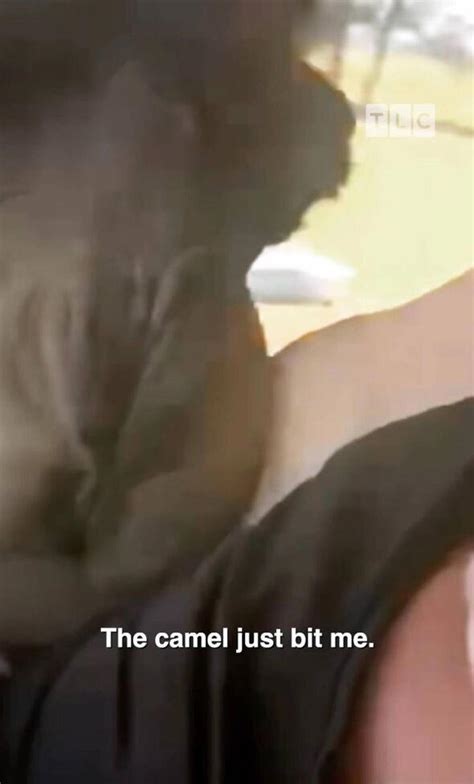 Terrifying Moment 1000 Lb Sisters Star Amy Slaton Was Bitten By Camel Before Arrest