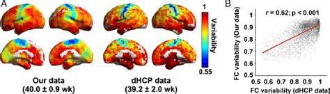 A The Spatial Patterns Of Individual Variability In Term Infants From Download Scientific