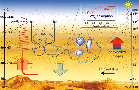 Could Microbes Be Affecting Venus Climate