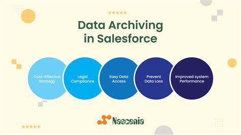 Salesforce Data Migration Solutions And Best Practices