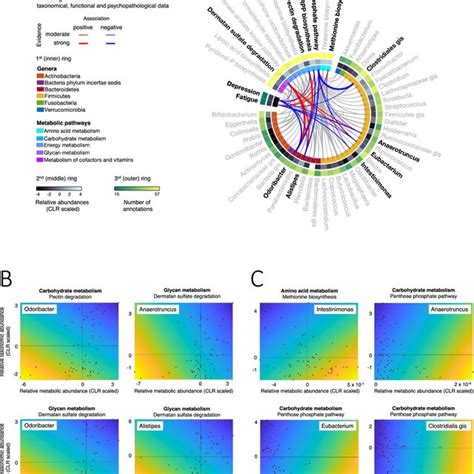 results of motif analysis of correlation network topology a ring graph
