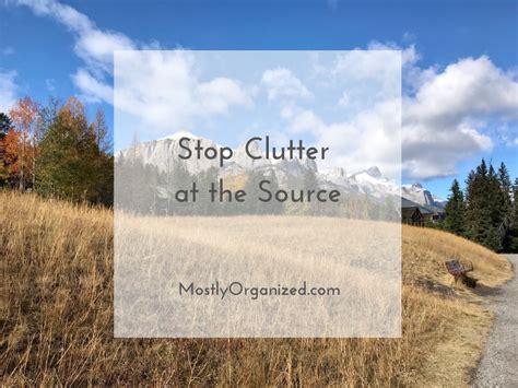 Stop Clutter At The Source Mostly Organized