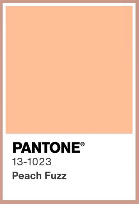 Pantone Colours Explained