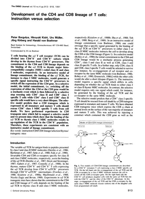 Pdf Development Of The Cd4 And Cd8 Lineage Of T Cells Instruction