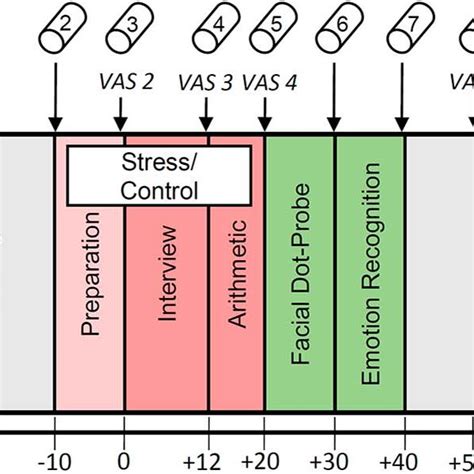 Experimental Procedure Vas Visual Analog Scales Download