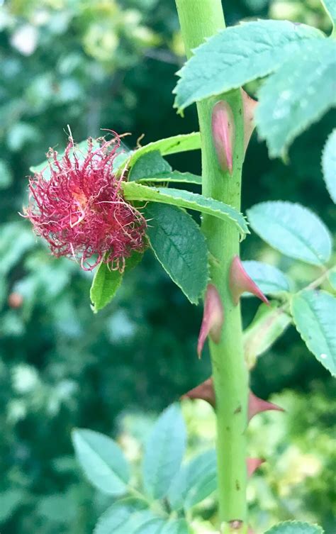 Daniel Rushbrook Posted On Linkedin