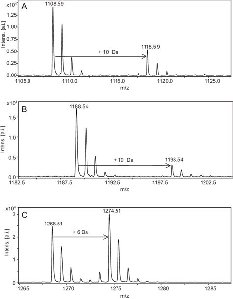 Principle For Quantification Of Phosphorylation Of The C Terminal Tail