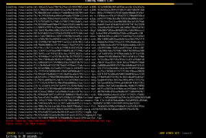 ESXi Auto Deployed ESXi Host Failed To Boot Up Error Loading Vmw Rbd Host Waiter Tgz