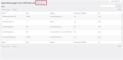 How To Add A DNS Record WP Email Manager