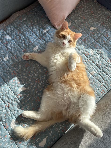 Querydsl에서 Enum Class기준으로 정렬하는 방법