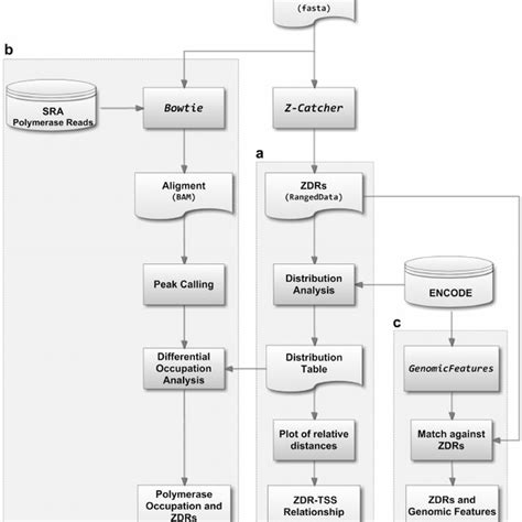 Overview Of Trinity Assembly And Analysis Pipeline Shown Are The Key